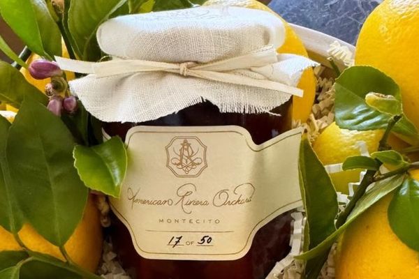 Meghan Markle Introduces Debut Item From American Riviera Orchard