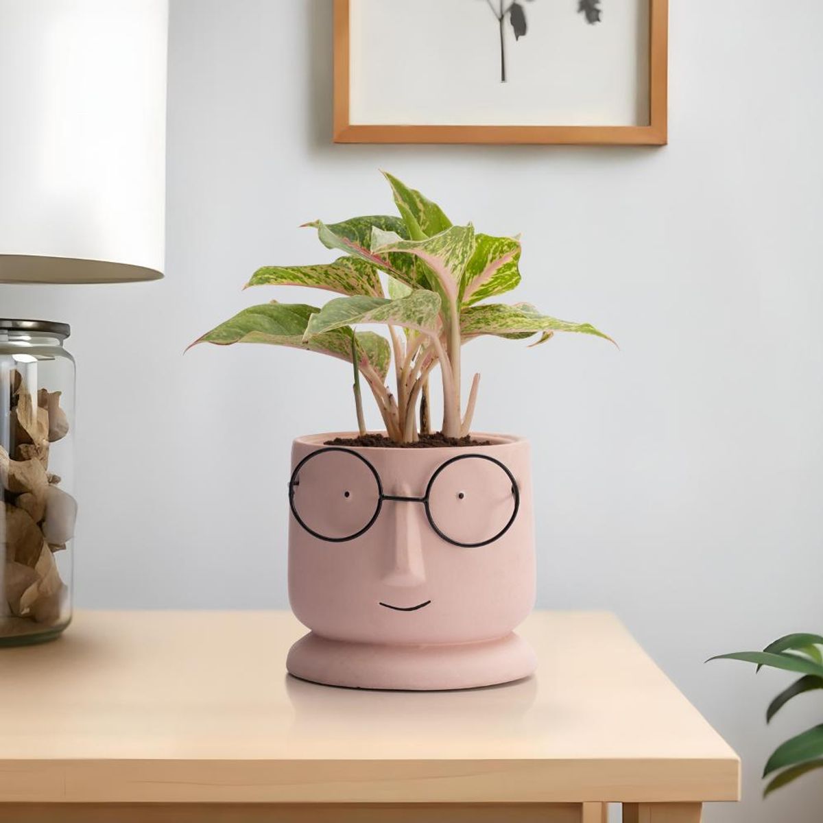 Buy Pilea Face Shaped Pot Online At Best Price In India | Wakefit