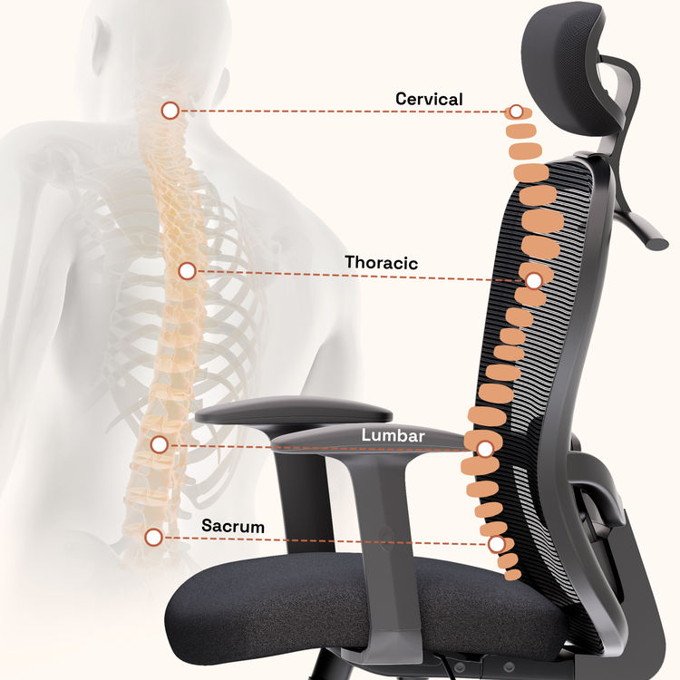 Buy Wakefit Safari Pro High Back Ergonomic Office Chair