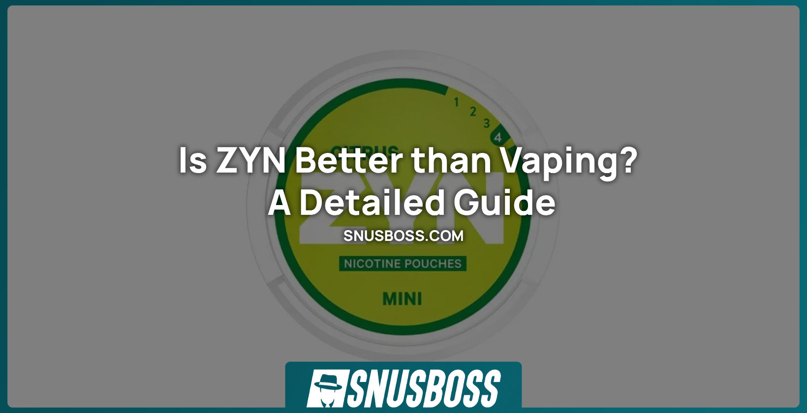 Is ZYN Better Than Vaping Everything You Need To Know Is ZYN Better Than Vaping Everything You Need To Know