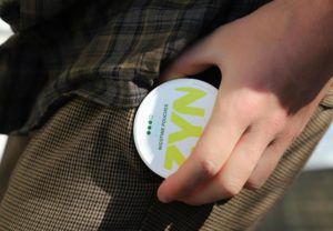 Mg of Nicotine in a Dip Pouch—A Detailed Guide