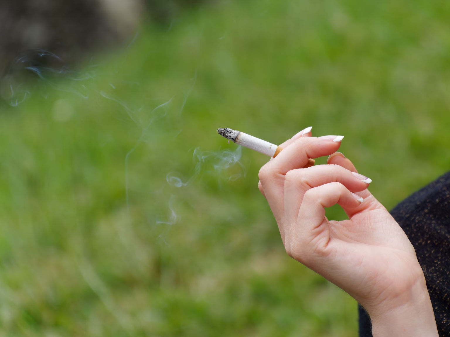 Snus Nicotine Content—A Detailed Guide