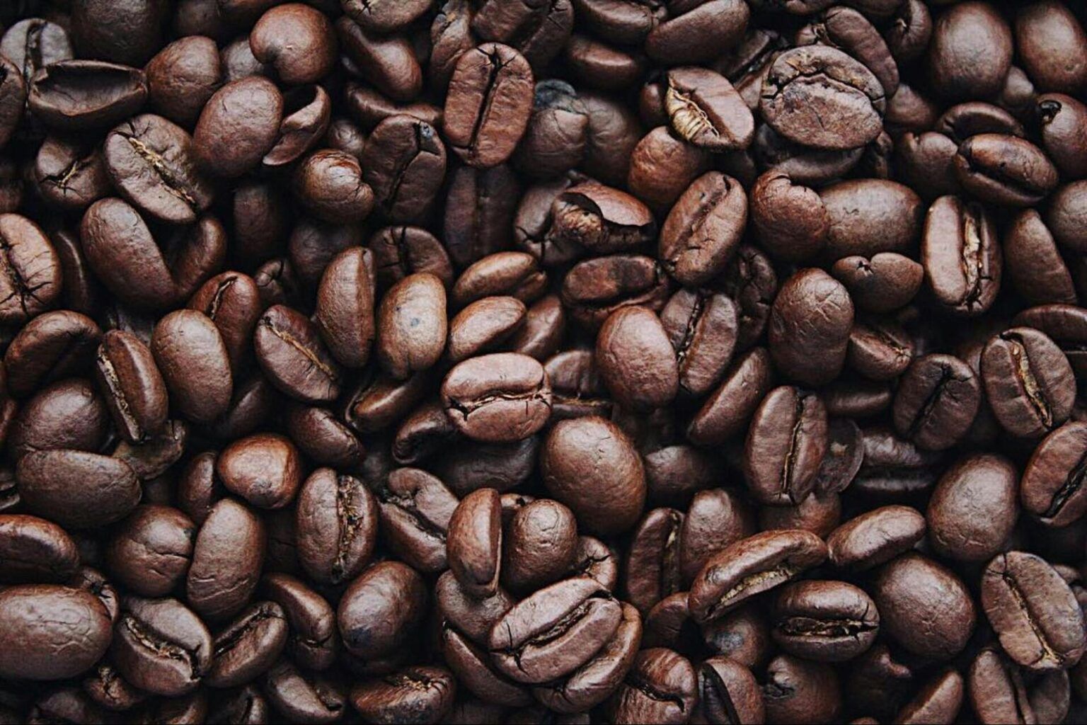ZYN Coffee Review—Exploring the Popular Flavor