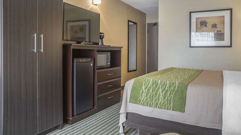 Comfort Inn Room