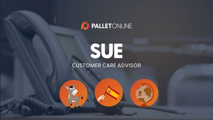 Meet Sue, Customer Care Advisor at PalletOnline!