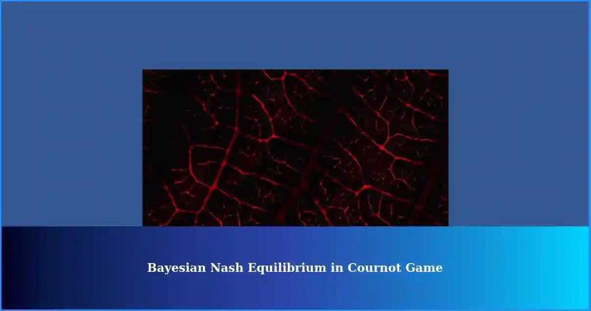 Bayesian Nash Equilibrium in a Cournot Game: Function P(Q) Bayesian Nash Equilibrium in a Cournot Game: Function P(Q)