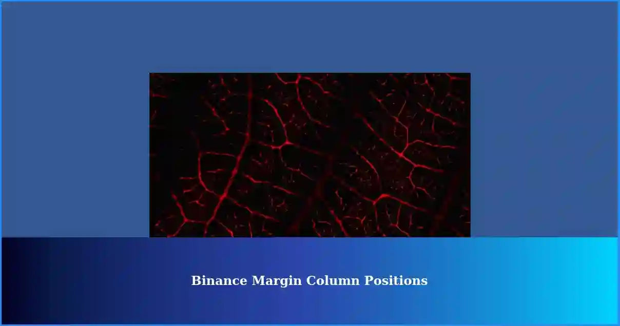 Understanding Binance's Margin Column Positions in Futures Understanding Binance's Margin Column Positions in Futures