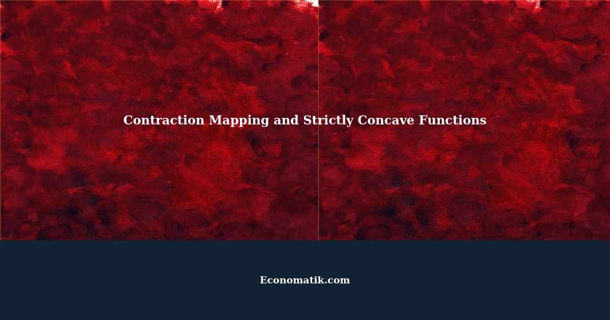 Contraction Mapping and Strictly Concave Functions: An Economic Analysis