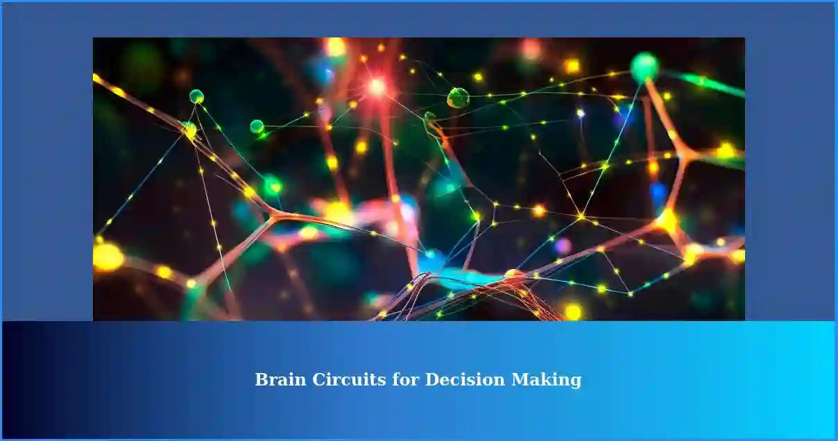 Neuroscientists Identify Brain Circuits for Decision Making