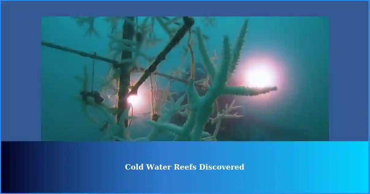 Discovered: Largest Cold Water Reefs off the East Coast of the United ...