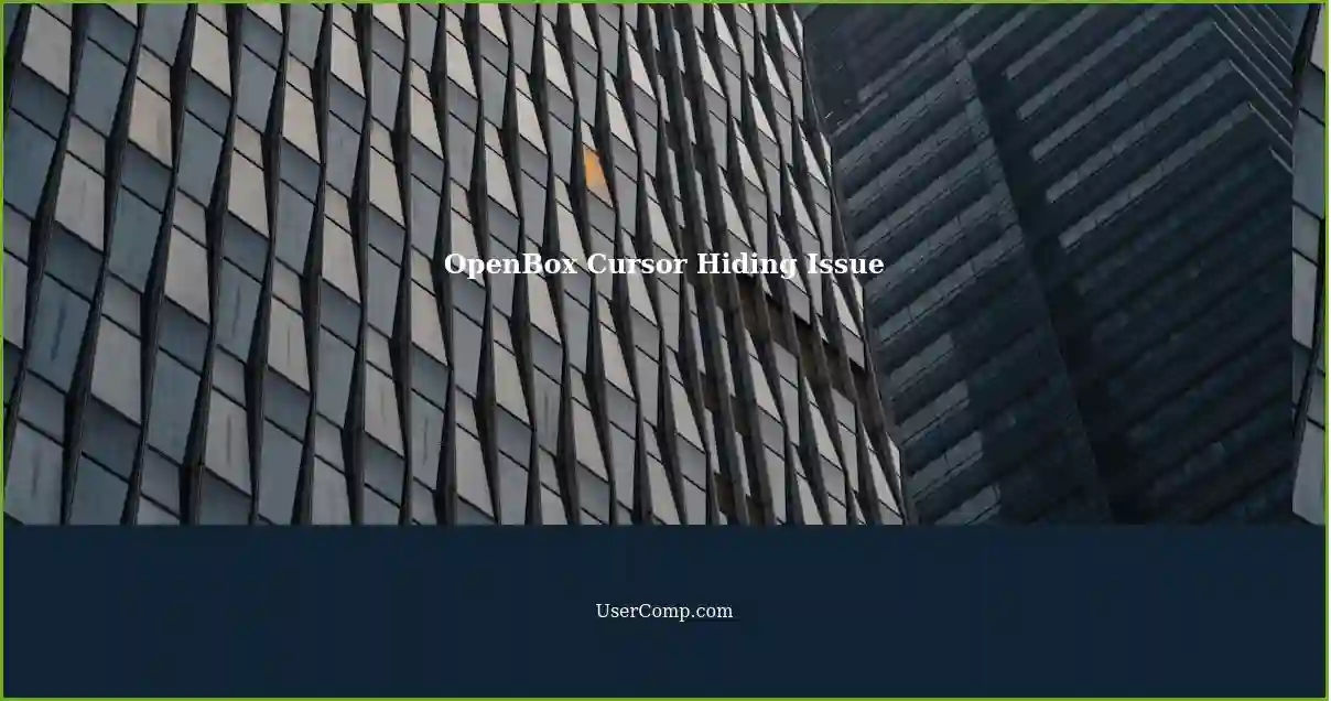 OpenBox Hides Cursor on Raspberry Pi: A Tech Support Query