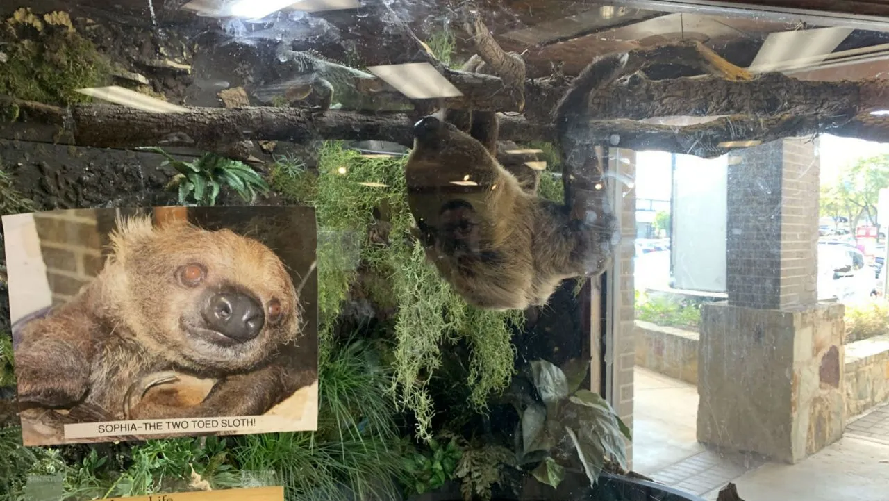 Exotic Pet Store Austin