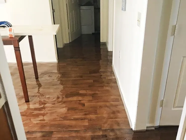 Water Damage To Subfloor At A Look | ExpertsGuys