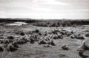 Battle(s) of Powder River | Fort Tours