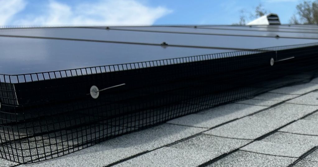 Bird Prevention Solutions | Roofing Services - A Plus Roofing