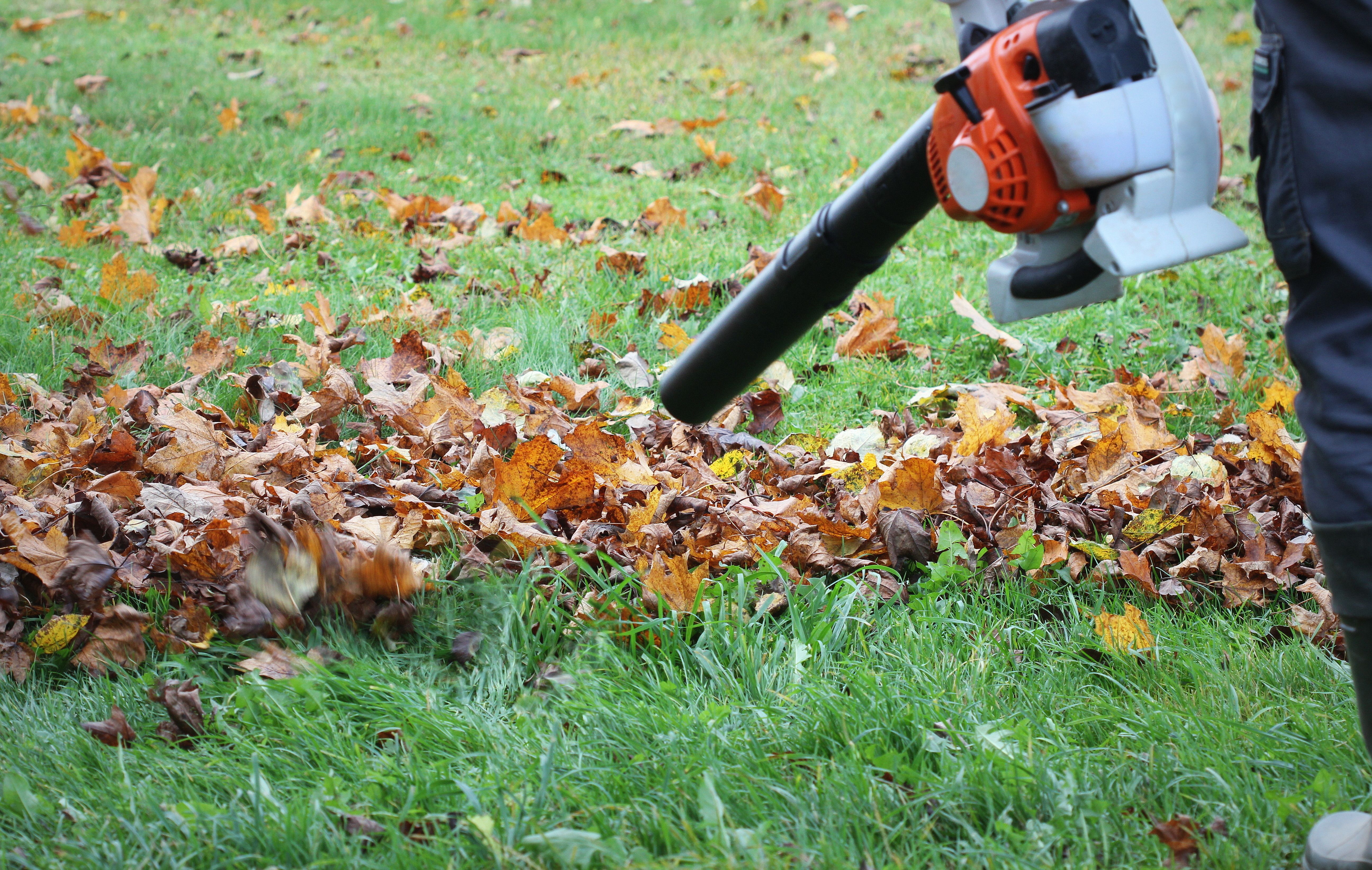 Leaf Cleanup Services | Right On Lawn and Landscape