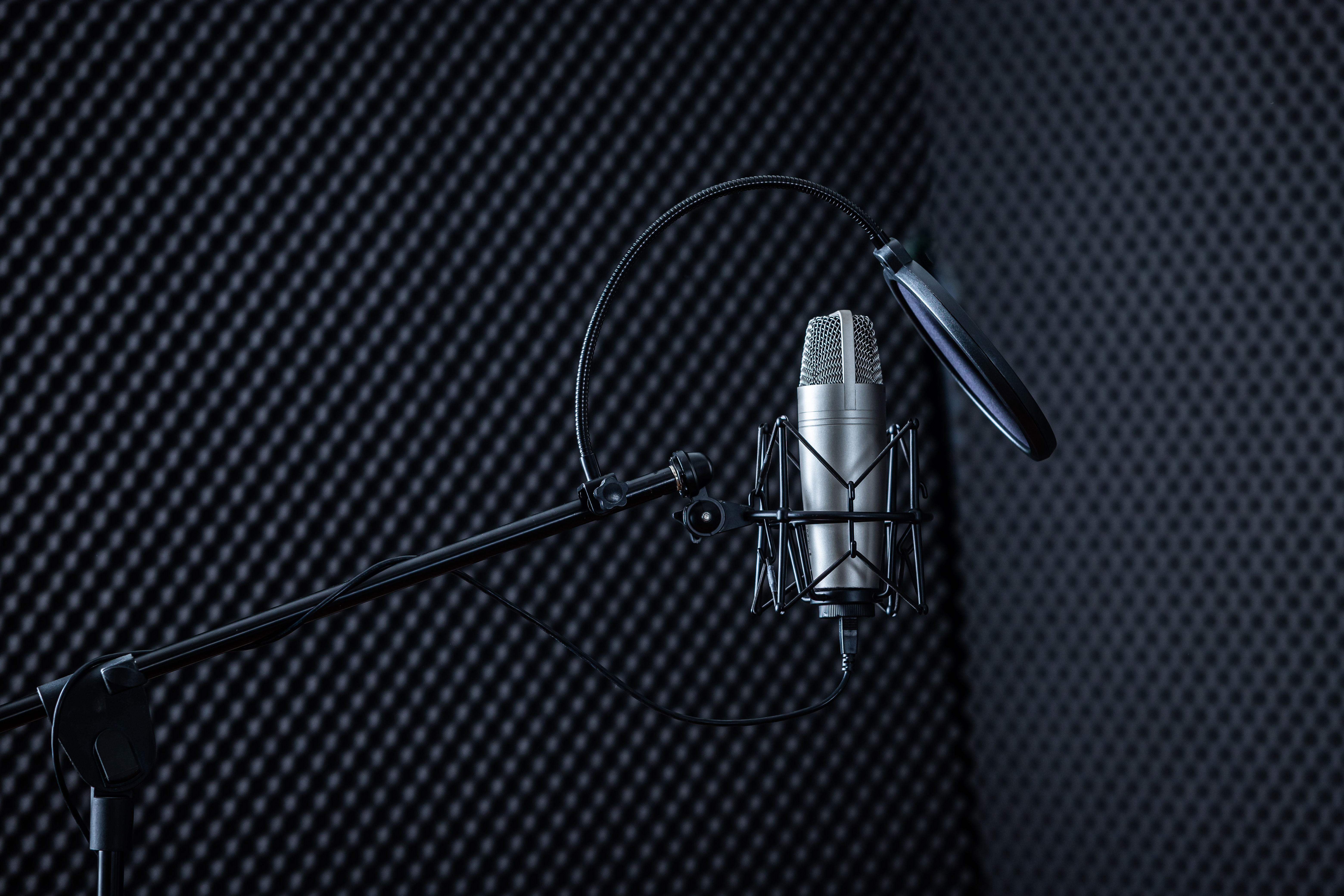 About Pro Audio Booth: Expert Home Audio Booth Installation