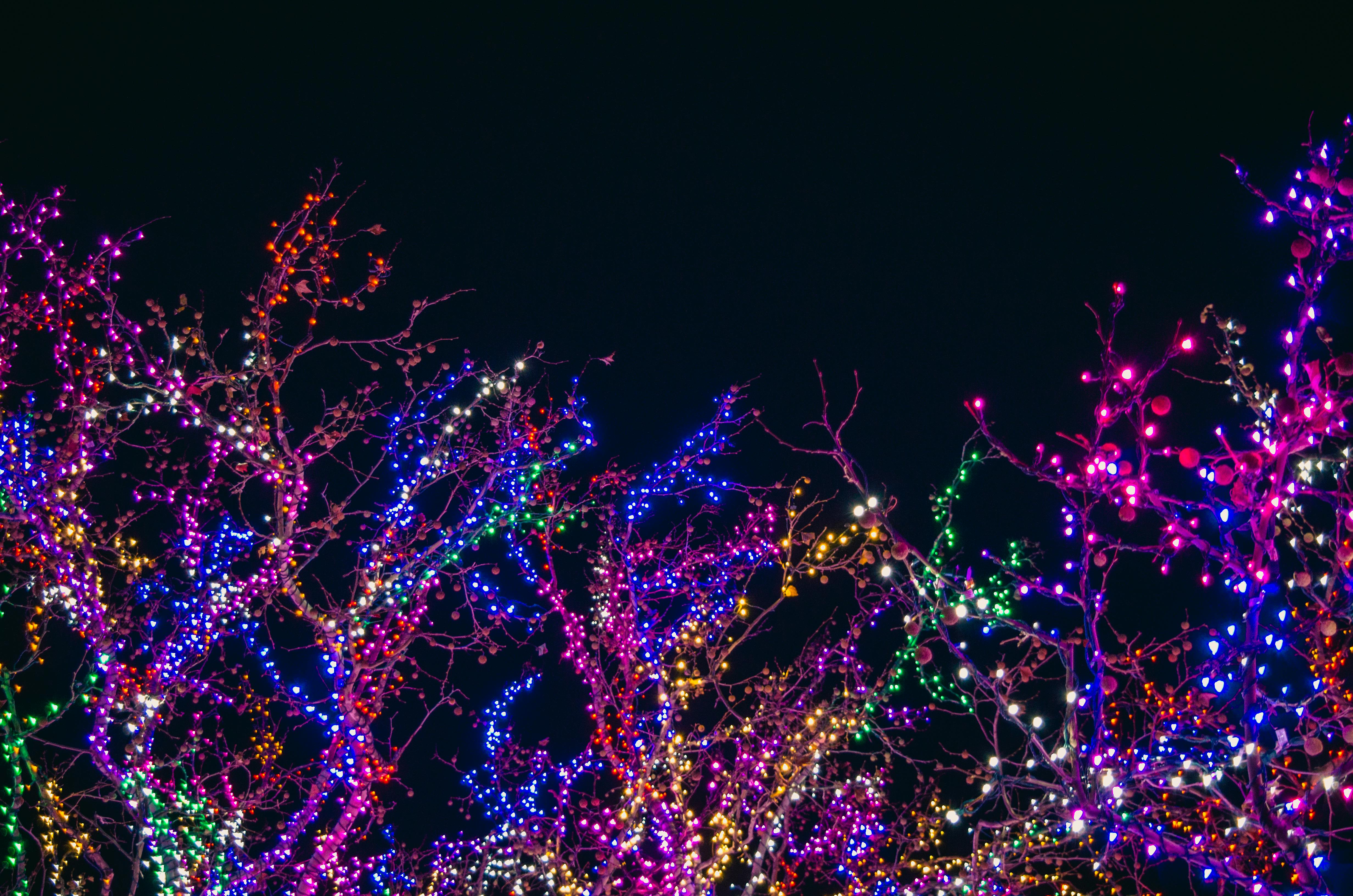 Christmas Light Installation Services – Pressurize Washing Systems LLC