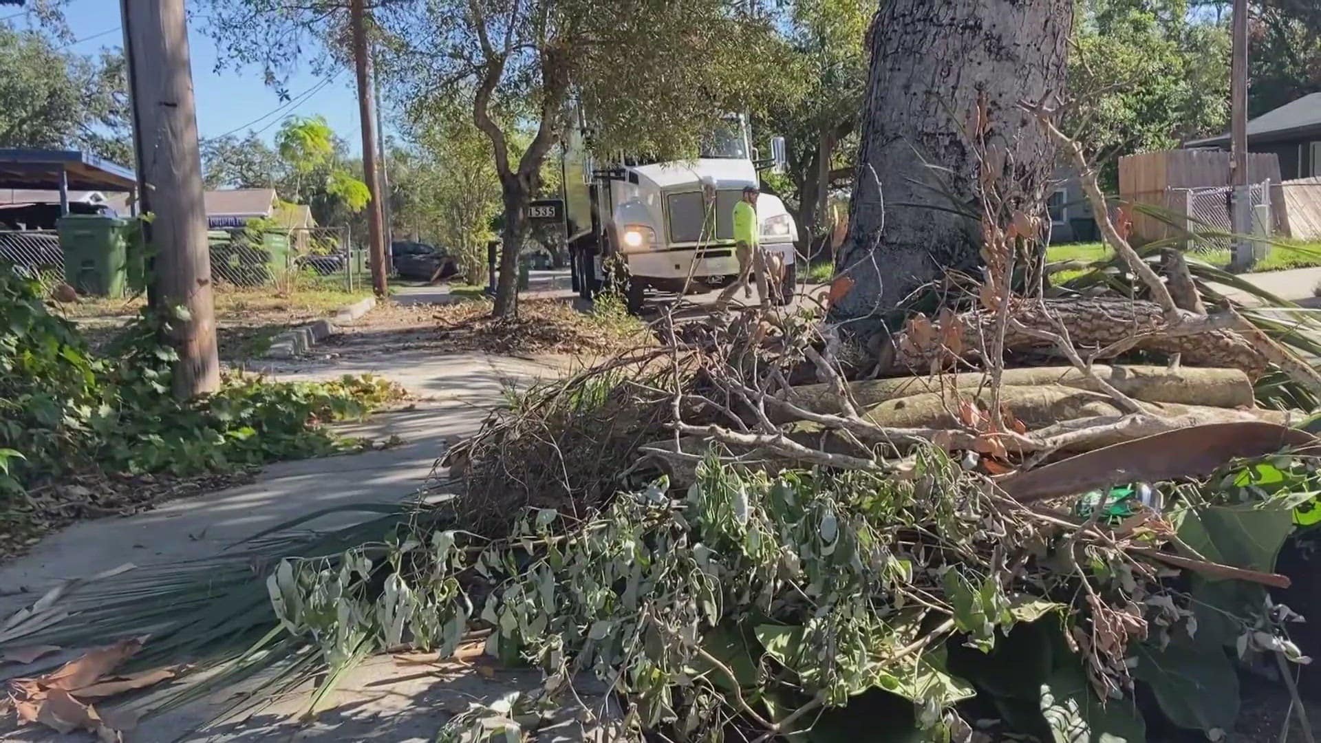 Brush & Debris Pickup Bowling Green | Junkless KY Services