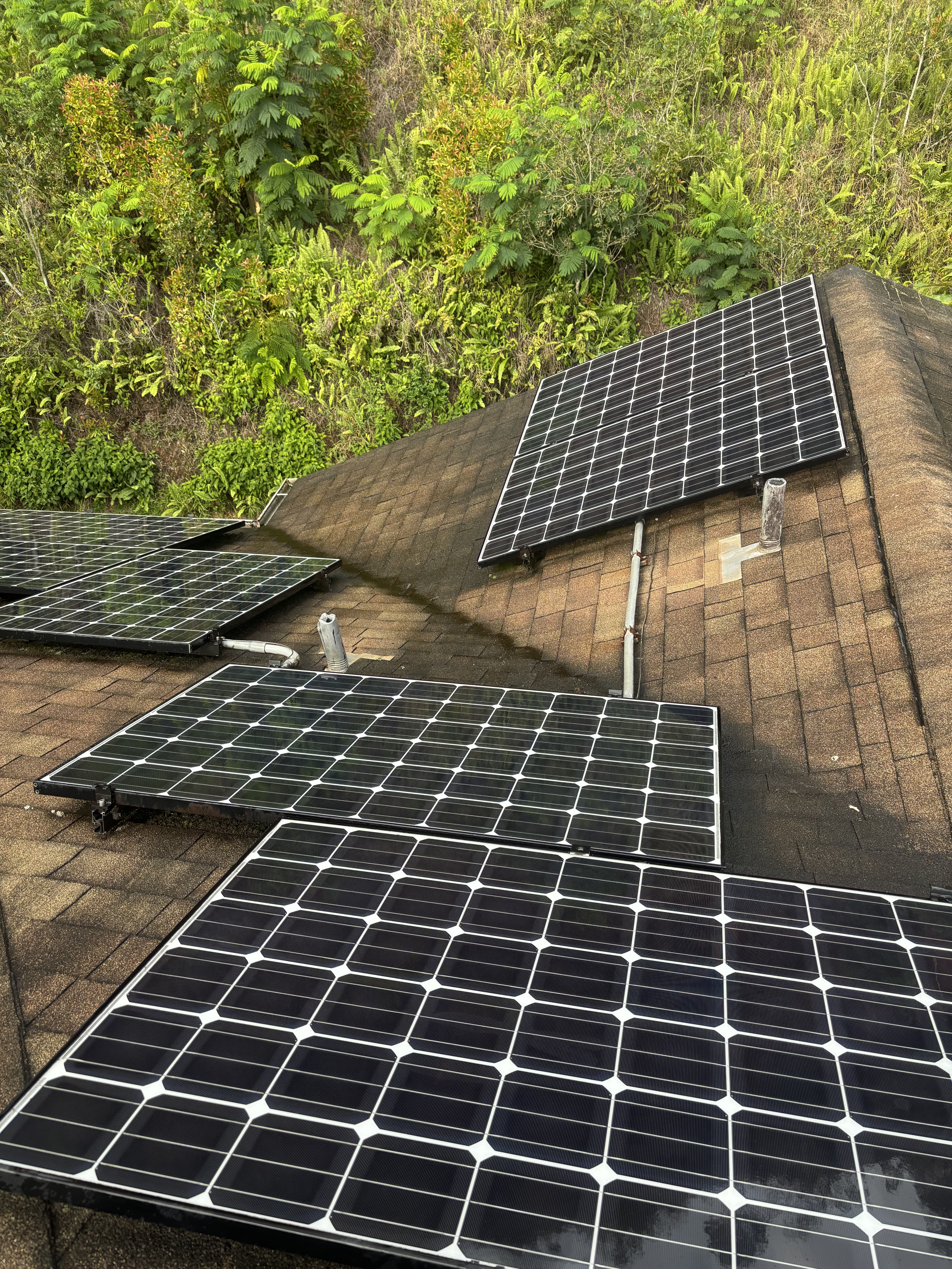 Boost Energy Efficiency with Sparkling Solar Panels at Mililani Tech ...