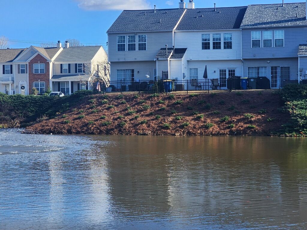Stabilizing a Lake Embankment | Higher Ground Landscaping Services