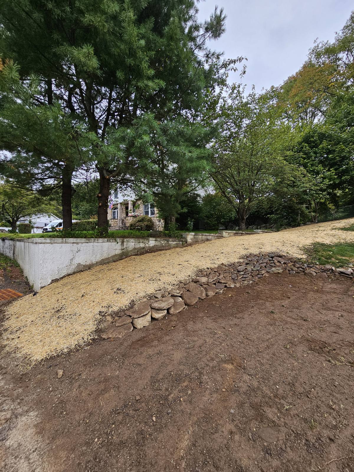 Transformative Land Clearing and Lawn Renovation | Infinite Outdoor Designs