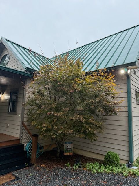 Brightening Up Your Roof with Oxidation Removal | DK Rodgers Roof ...