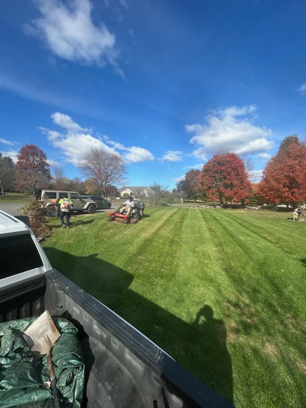 Fall Leaf Clean-Up Kicks Off | Natures Edge Landscapes