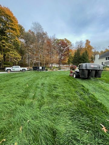 Fall Leaf Clean-Up Kicks Off | Natures Edge Landscapes