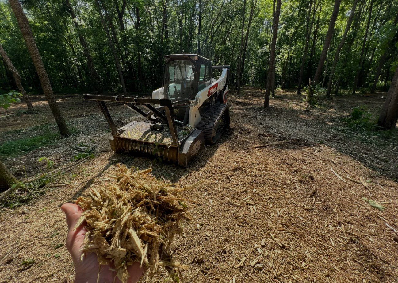 Effective Land Clearing with Our Forestry Mulching Machine | AZ-WE-GO ...