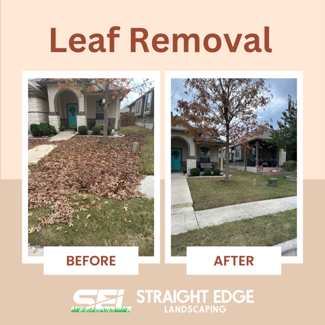 Leaf Clean-Up Project in Leander | Straight Edge Landscaping