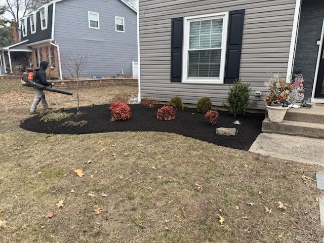 Landscape Refresh with Mulch and Evergreens | Four’s Landscaping LLC