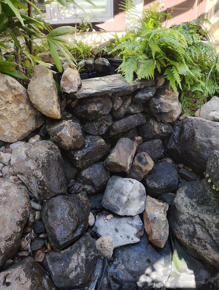 Pond Restoration with Waterfall Installation | Pacific Pond and Aquarium
