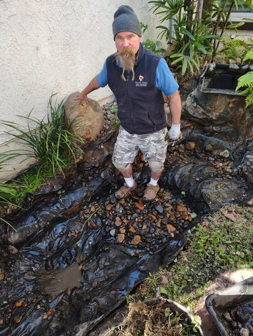 Pond Restoration with Waterfall Installation | Pacific Pond and Aquarium