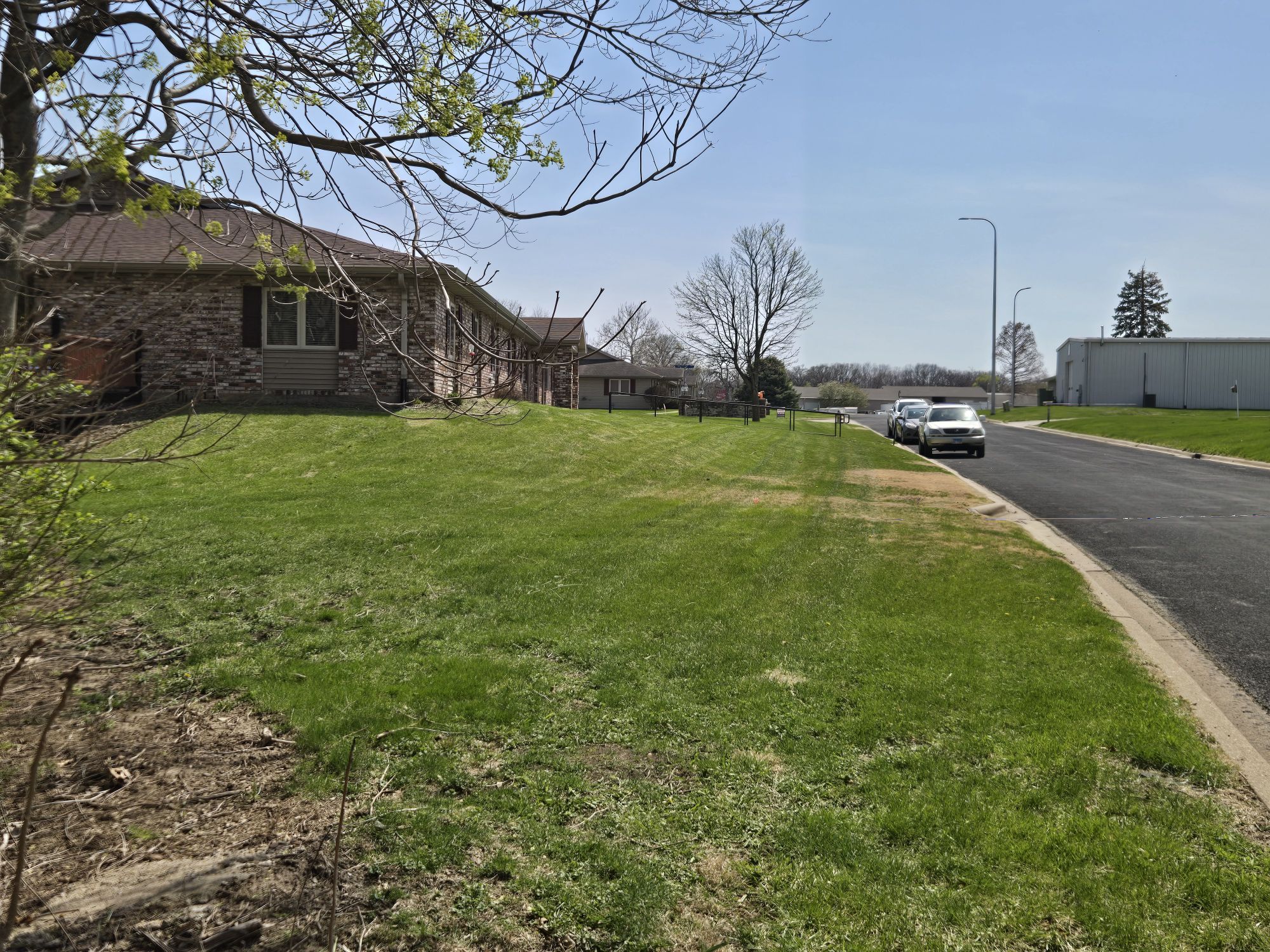 Projects - Aim To Tame Tree Service