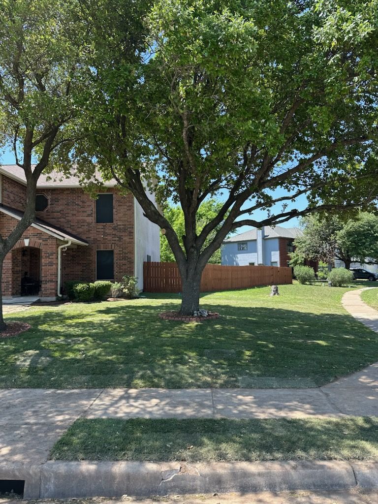 Sod Installation Project | Straight Edge Landscaping