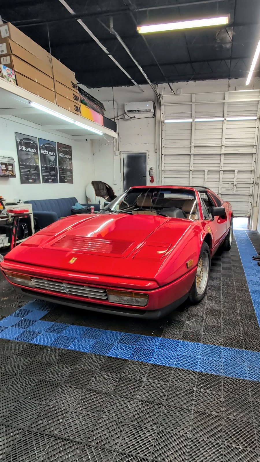 Bringing Ferrari Sparkle with Ceramic Tint | Top Tier Ceramics - Wraps ...