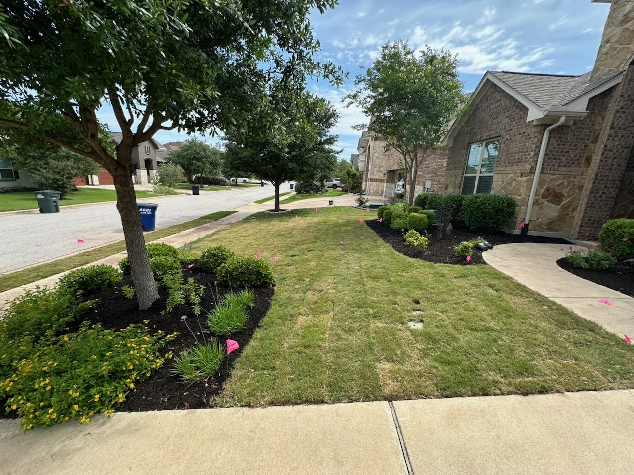Front Yard Transformation with New Sod and Mulch | Straight Edge ...
