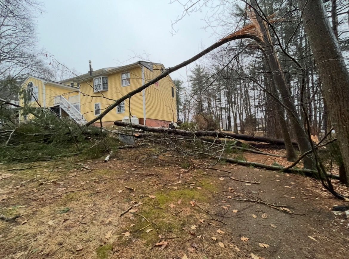 Fast Tree Removal After Storm Hits Local Area | O'Connell Outdoor Services