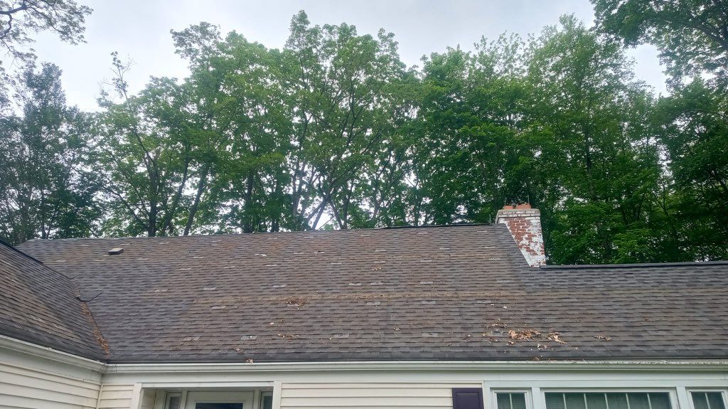 Westport Solar Panel Removal and System Check | SunQuest Solar