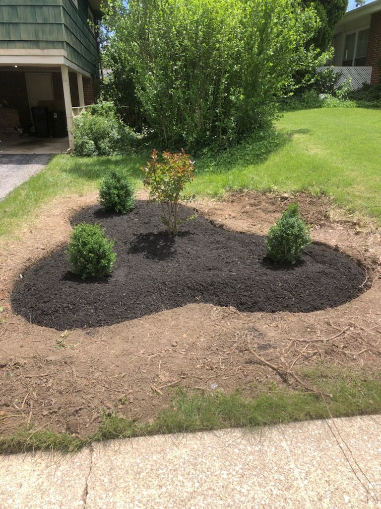 Stylish Kidney-Shaped Mulch Bed Transformation | Chase Lawn Care