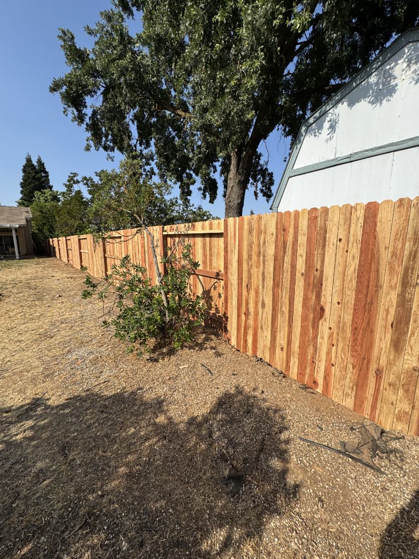 Backyard Fence Revamp in [City Name] | Guerrero Landscaping Inc
