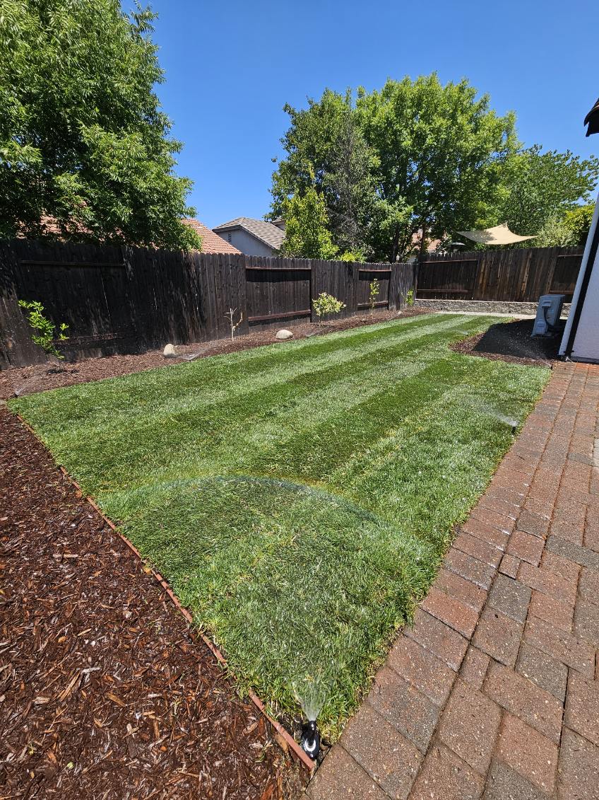 Revitalize Your Lawn with Expert Sod Installation | Guerrero ...