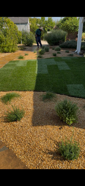 Checkerboard Lawn and Elegant Pathway Transformation | Green Team Landscapers