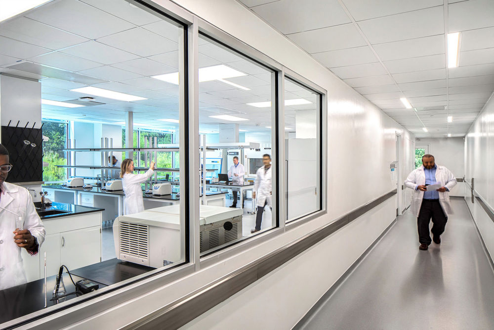 Lab / GMP Manufacturing | Bearfoot Ventures