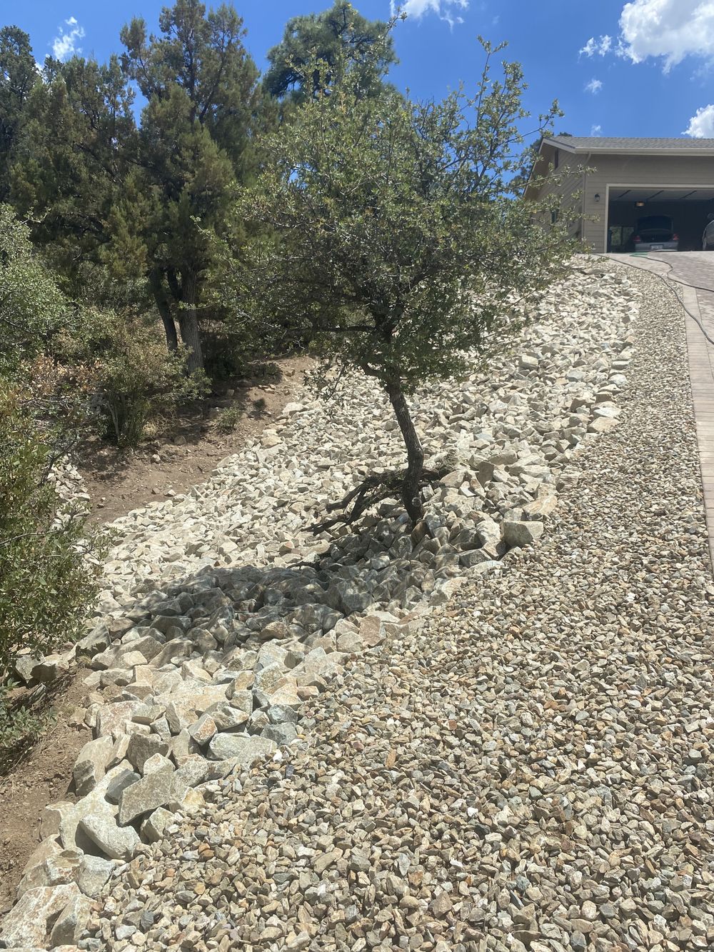 Tree and Shrub Services | Premier Landscaping - Basin Outdoor Services