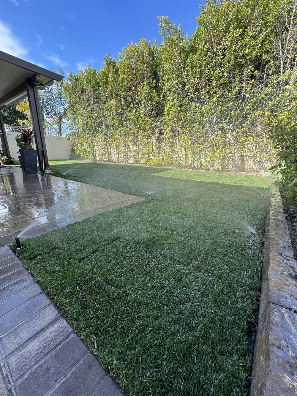 Expert Irrigation & Drainage Solutions | TLS Landscaping Service