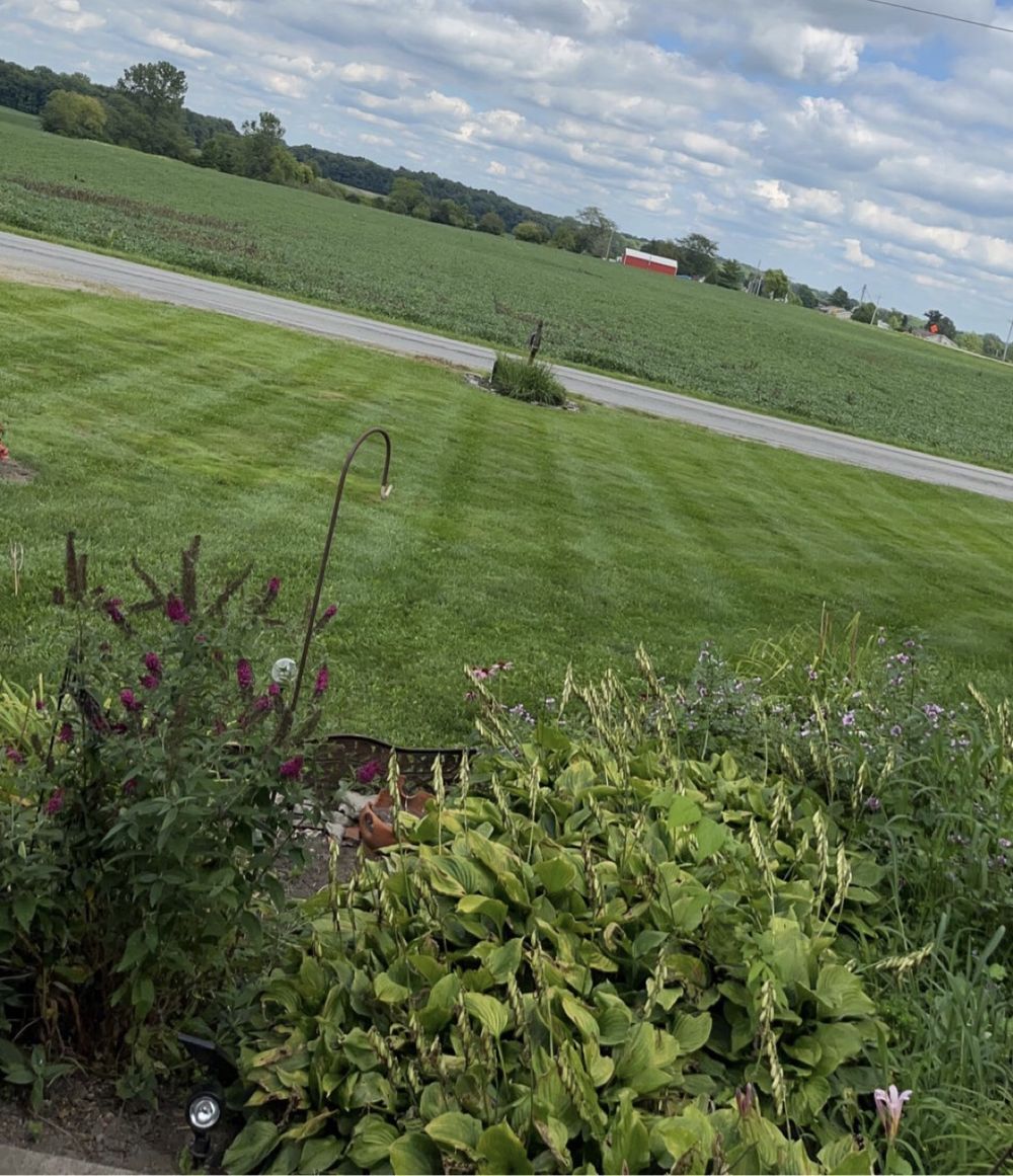 Lawn Care Services | Expert Care by Simple Green Lawn & Services
