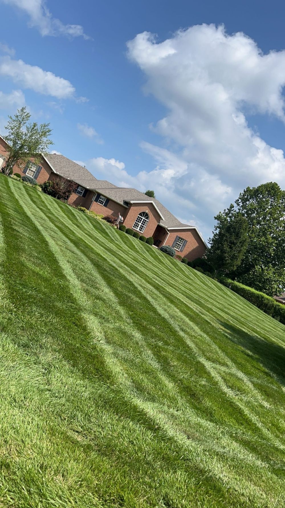 Lawn Care & Landscaping Services | Simple Green Lawn & Services