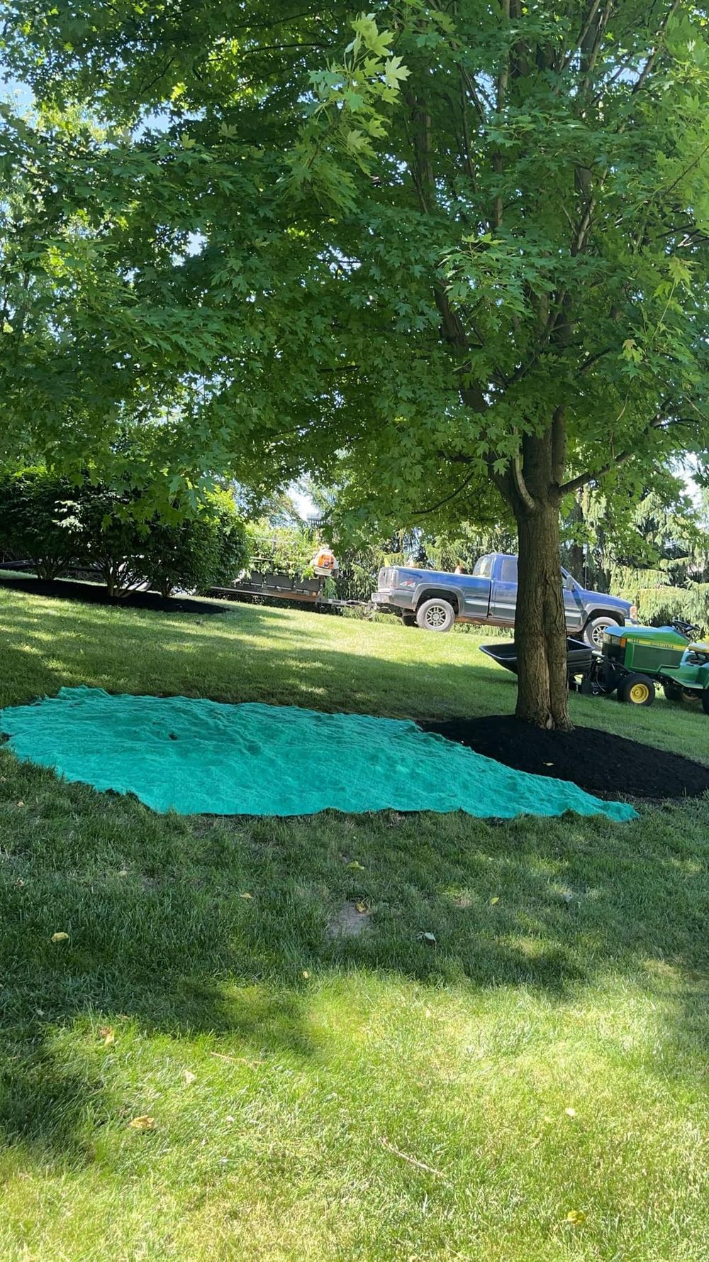 Spring-Fall Clean Up Services | Simple Green Lawn & Services